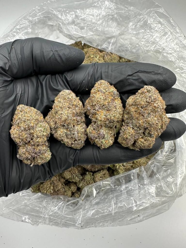 Girl Scout Cookies Weed online with Next Day Delivery | NDB